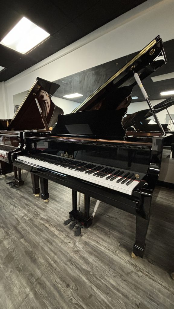 NEW Brodmann CE-175 Grand EP | 1750001234 | Piano Nation